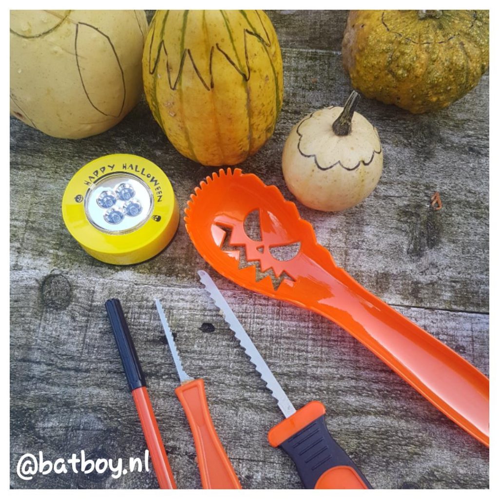 Kalebassen | Maak het gezellig in huis met deze waxinelichtjes | Batboy