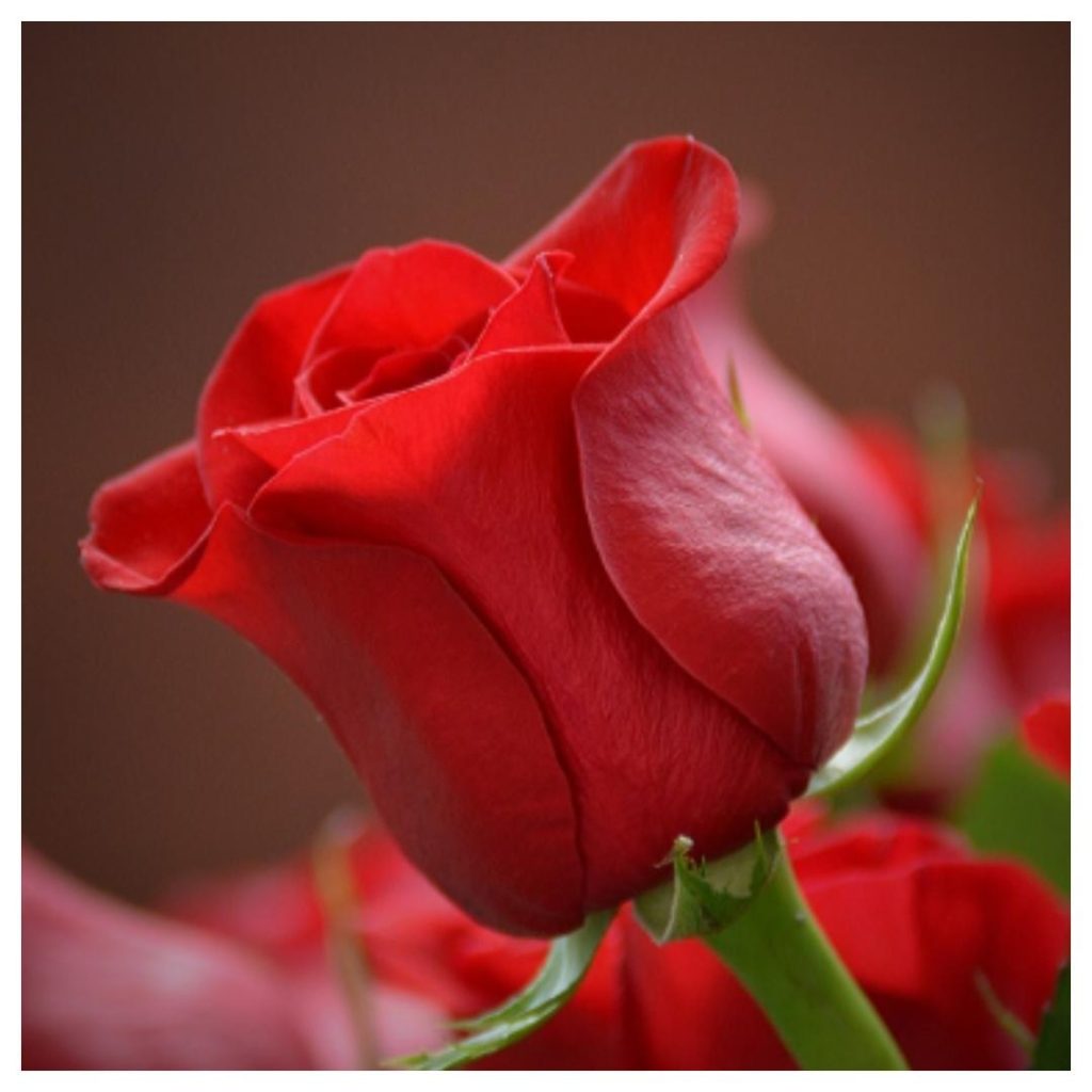 Italië | Onze eerste keer naar dit prachtige vakantieland | Batboy