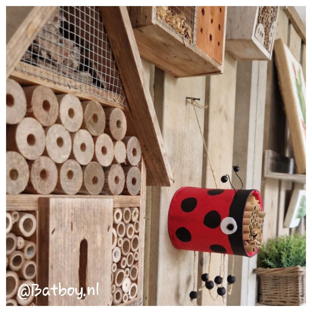 Insectenhotel zelf maken | Help de natuur een handje mee | Batboy